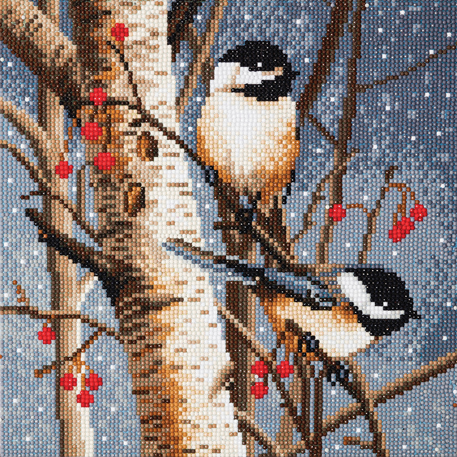 Crystal Art Mounted Kit Woodland Sprites 11.8X11.8" – Hobby and Toy Central