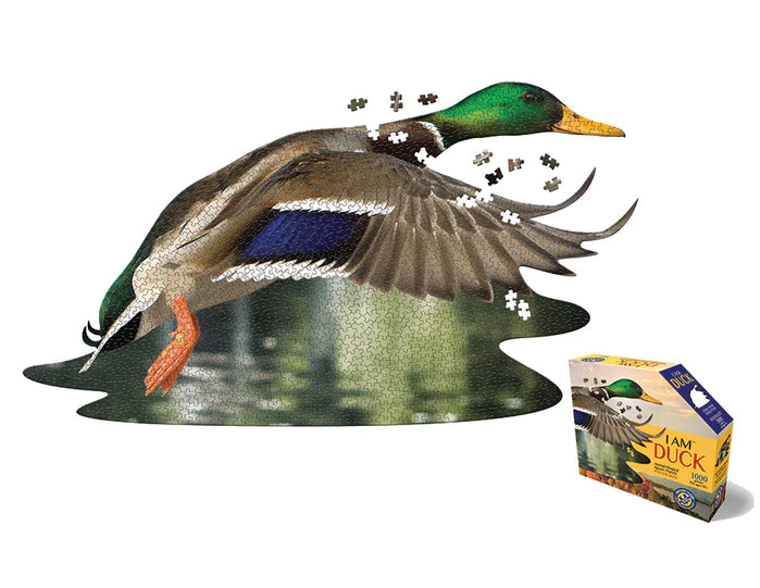 I Am Duck 1000pc – Hobby and Toy Central
