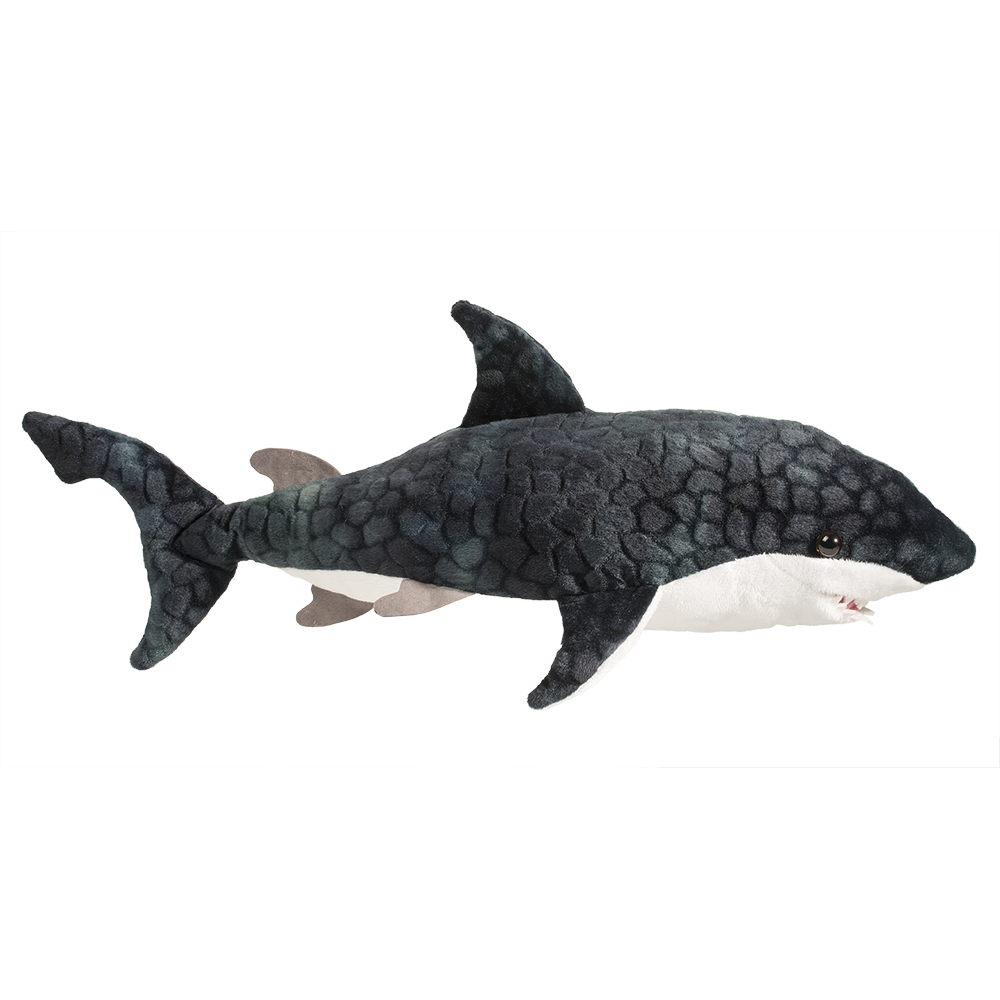 Neptune Blue Shark – Hobby and Toy Central