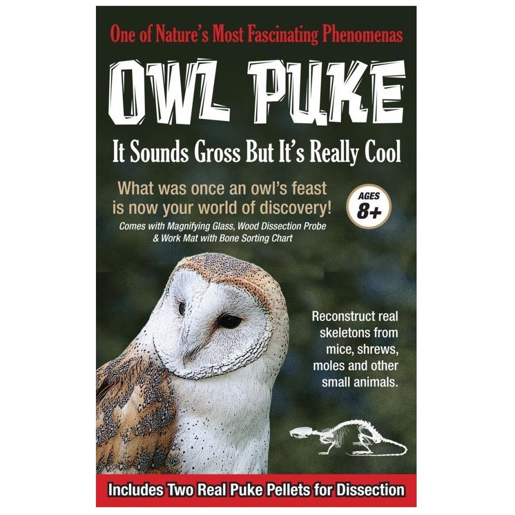 Owl Puke – Hobby and Toy Central